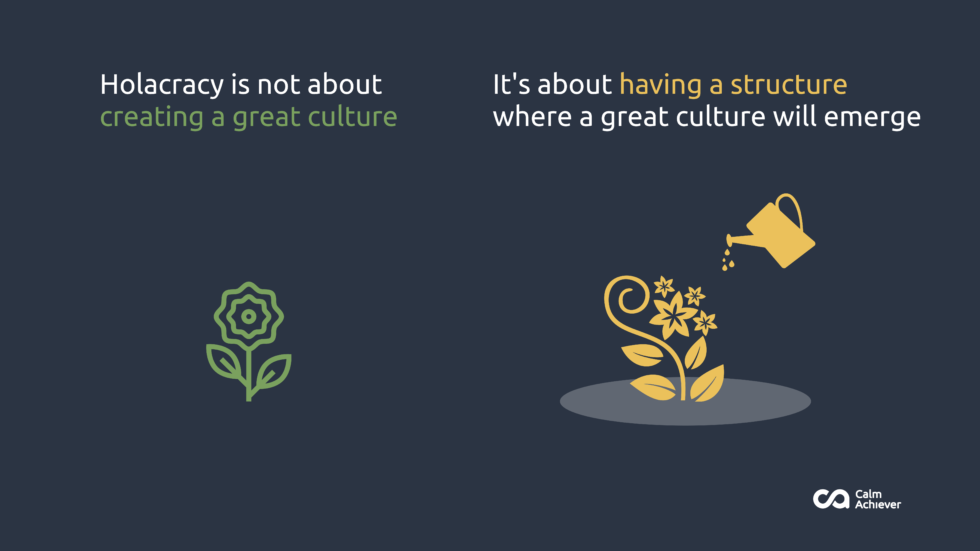 What is Holacracy? - Calm Achiever